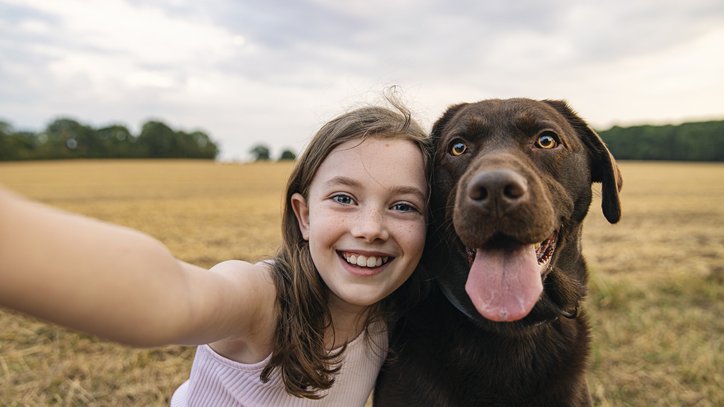 Something You Should Know About Toys for Your Pup – Pawup